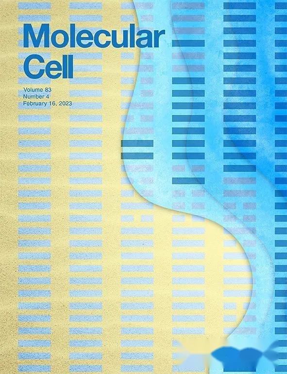 Molecular Cell | 真核生物DNA复制起始 - 知乎