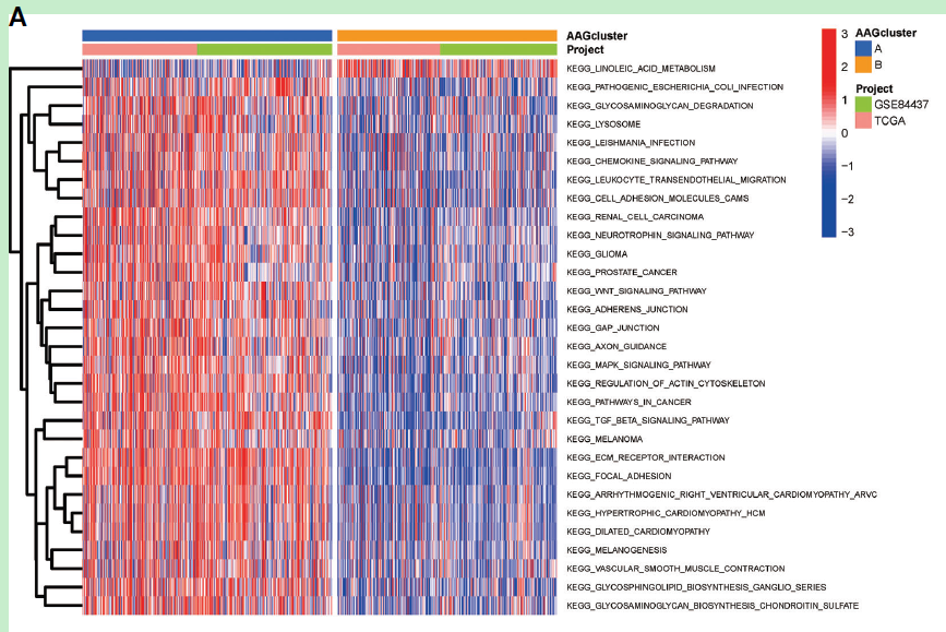【实战】GSVA基因集差异表达分析 - 知乎