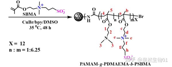 PH敏感性/核壳/星形PAMAM-PDMAEMA-PSBMA /聚酰胺修饰聚甲基丙烯酸N，N-二甲氨基乙酯-聚甲基丙烯酰磺酸甜菜碱 - 知乎