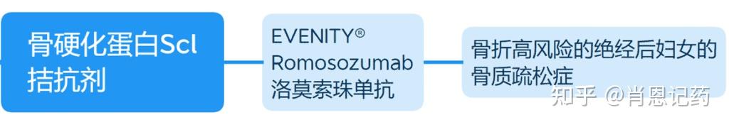 记住骨硬化蛋白Scl拮抗剂 | Romosozumab 洛莫索珠单抗 | 治疗绝经后妇女骨质疏松症 - 知乎