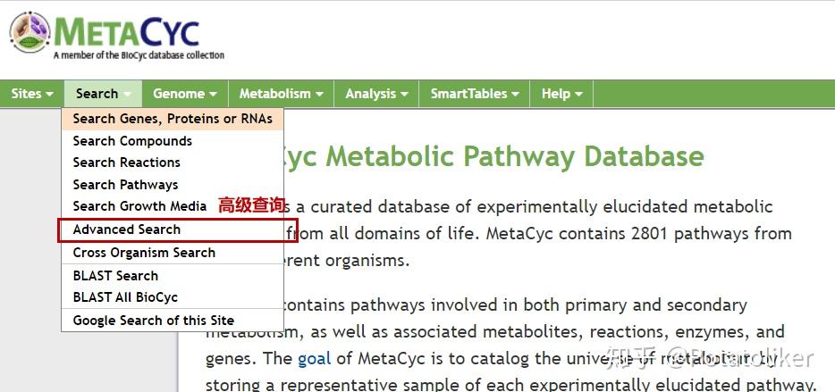 MetaCyc数据库学习笔记——简介及查询方法 - 知乎