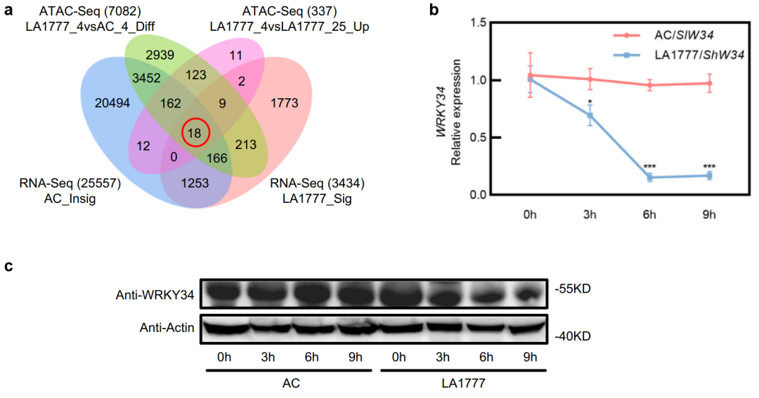 ATAC-seq和RNA-seq联合分析获得转录因子 - 知乎