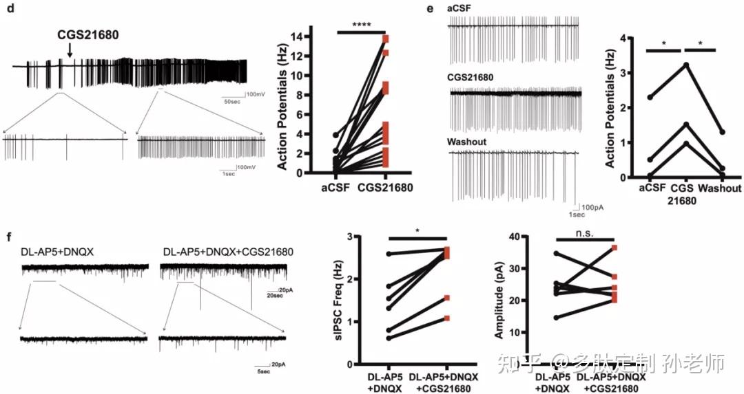 专家点评Nat Commun | 陈江帆/郭卫团队发现腺苷A2A受体调控抑郁样行为的新机制 - 知乎