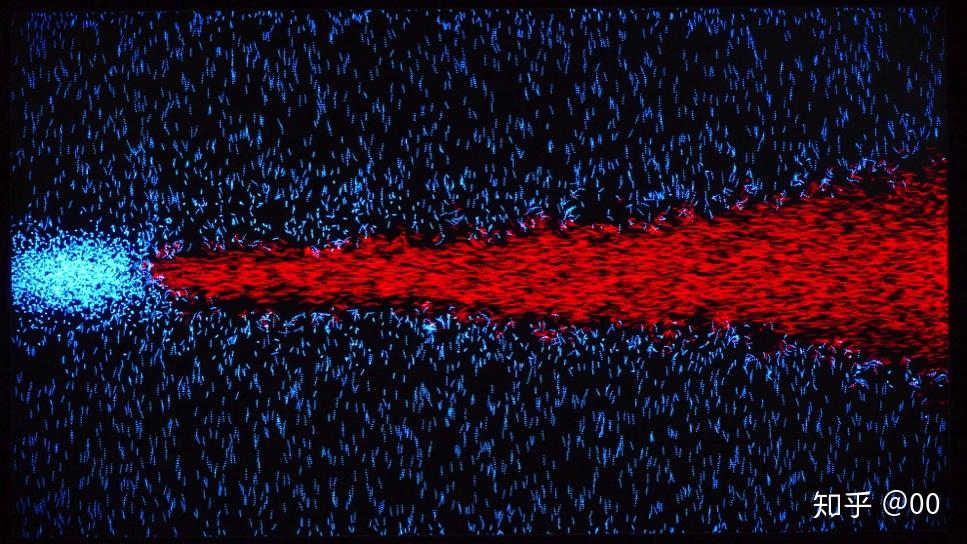生成式艺术和算法创作11-Boids, Flocks, Swarms - 知乎