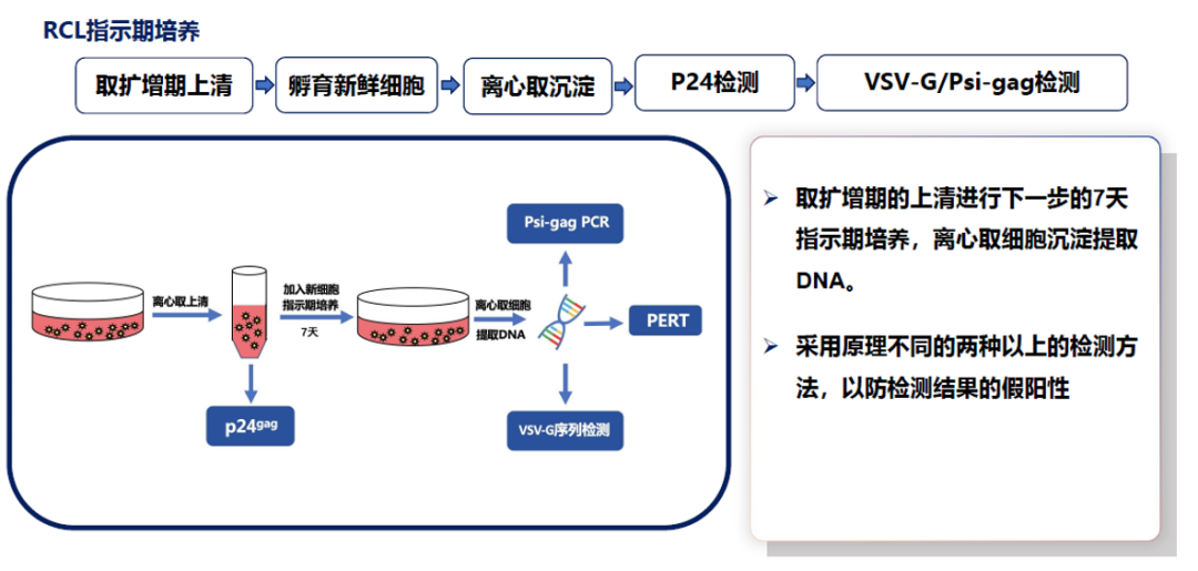 干货分享 | 可复制型慢病毒RCL检测 - 知乎