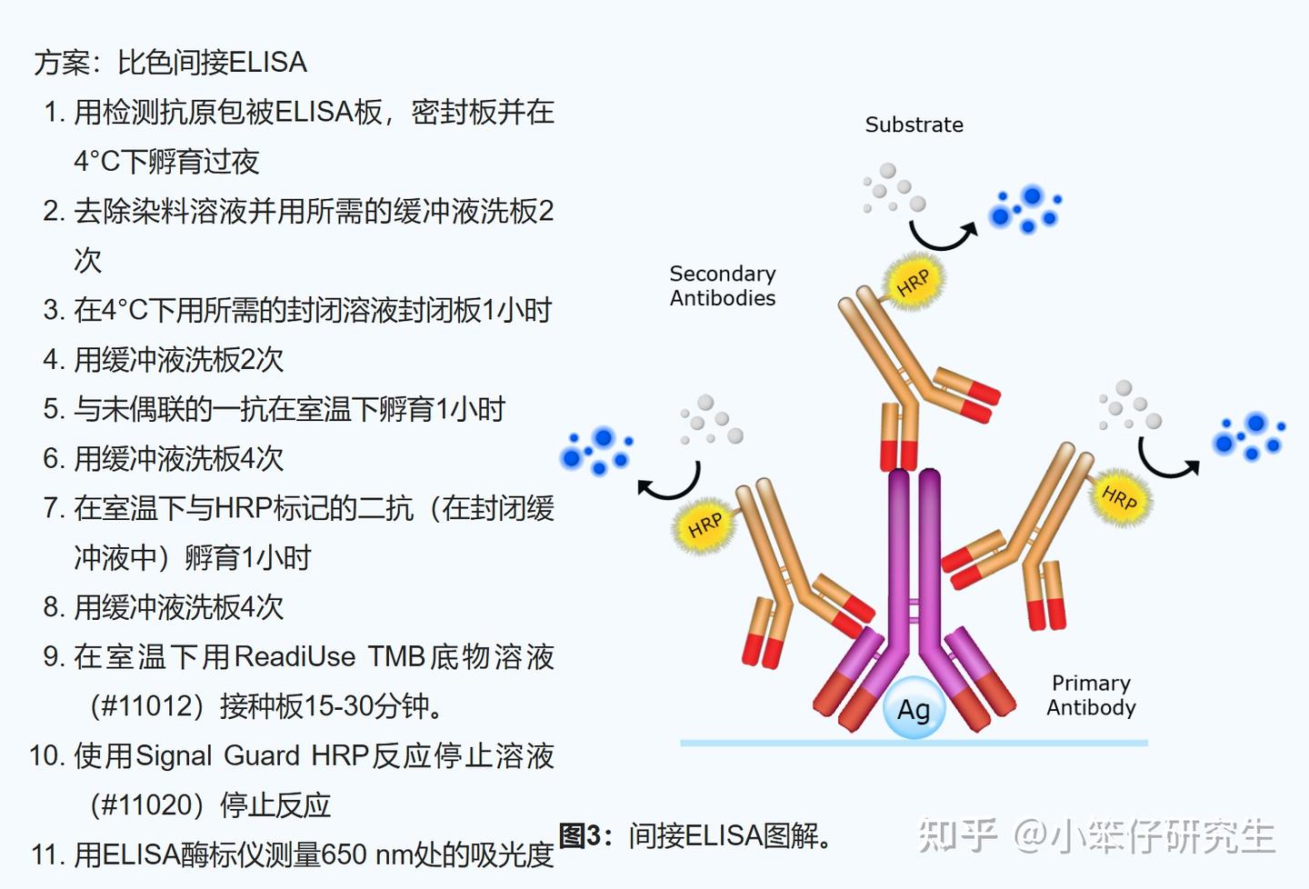 ELISA的原理和使用案例 - 知乎