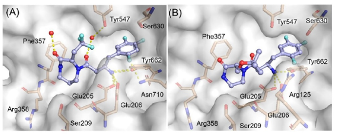 DPP-4 抑制剂、及长效药物设计原理 - 知乎