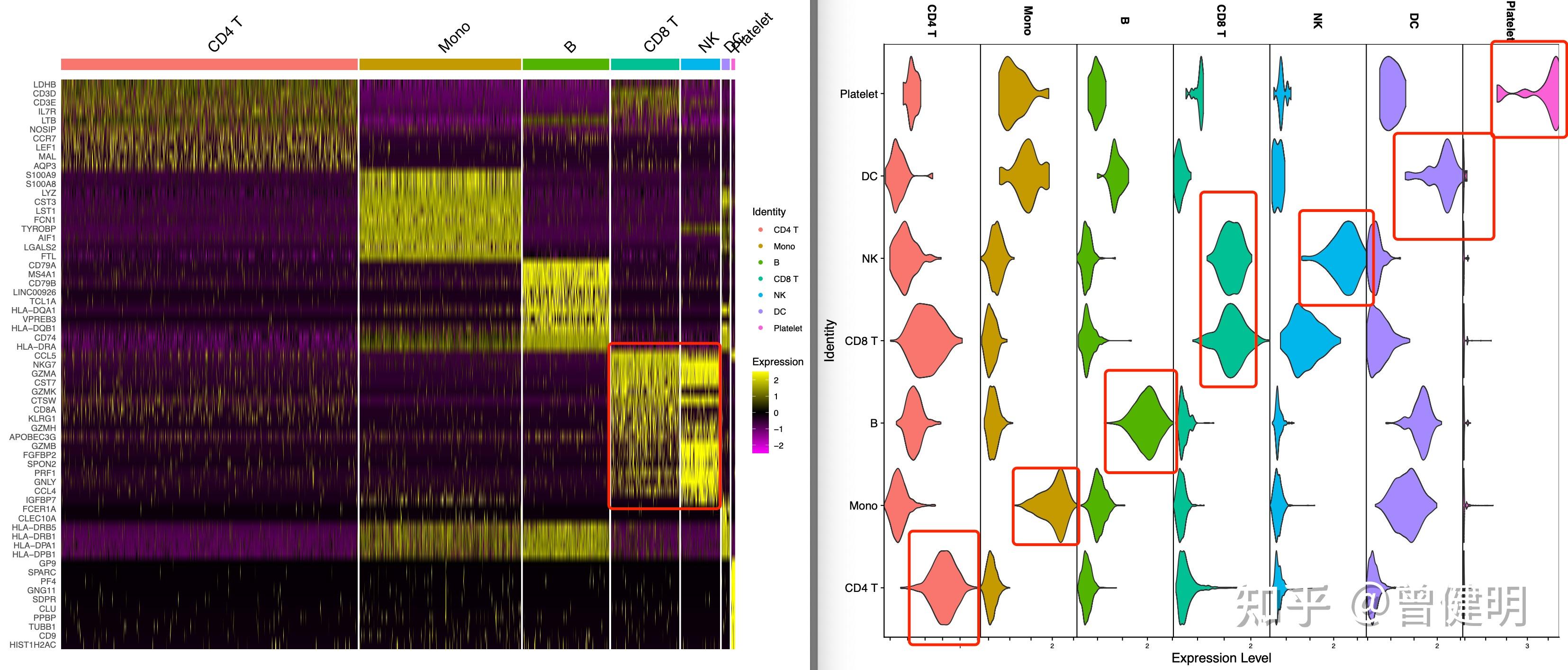 各个单细胞亚群的特异性基因集合的打分能准确划分其亚群吗？ - 知乎