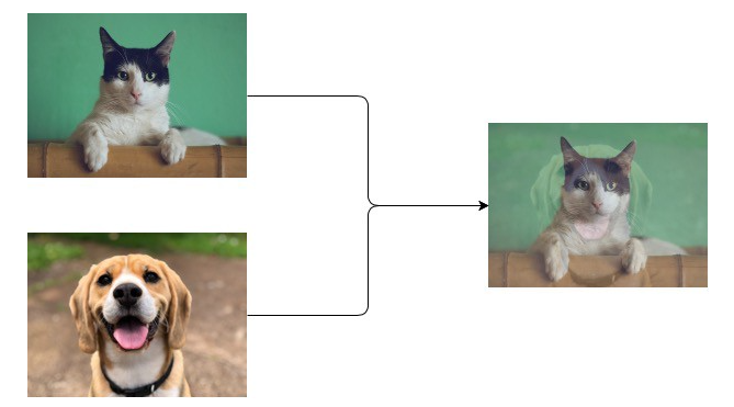 在PyTorch中用Mixup增强神经网络 - 知乎