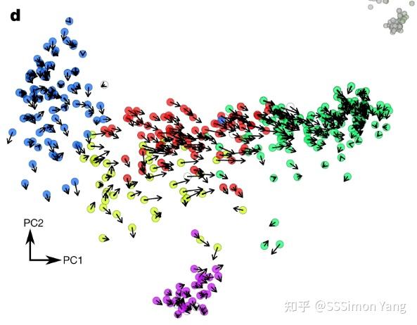 2020-011 RNA velocity of single cells - 知乎