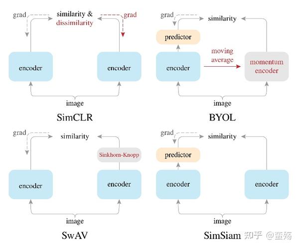 从对比学习的角度理解MAE - 知乎
