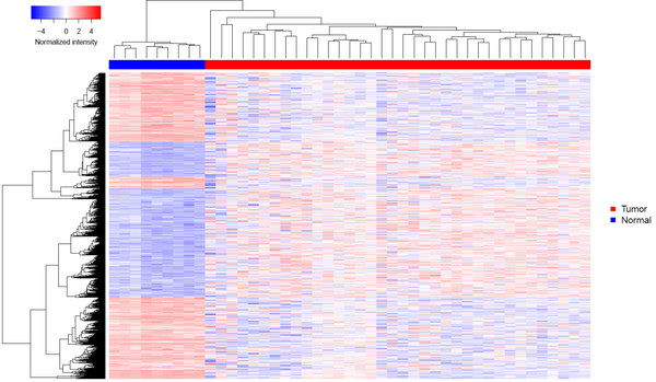【R语言】热图绘制-heatmap函数+默认配色方案 - 知乎