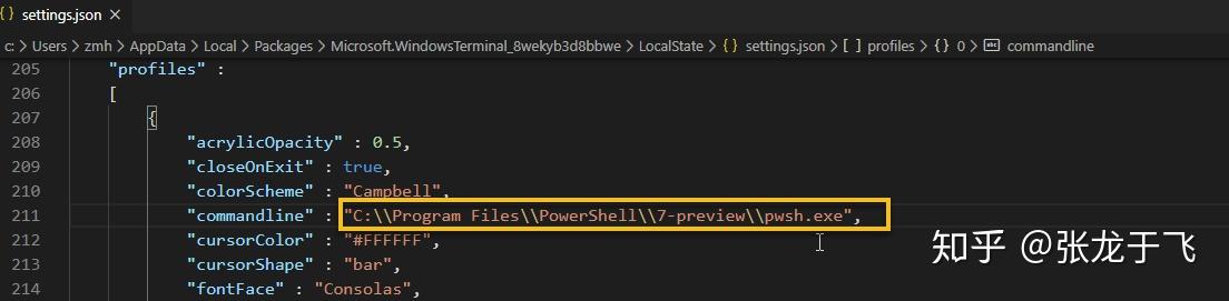 Windows10 安装最新版 PowerShell 及 Windows Terminal 并美化 - 知乎