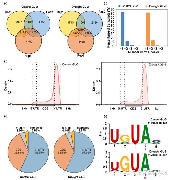 作物育种：MdMTA介导的RNA甲基化(m6A修饰)在苹果抗逆品种选育中的作用研究 - 知乎