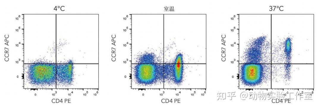 干货分享 | 流式细胞术最全实验流程 - 知乎