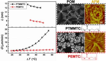 Polymer期刊”冯新德高分子奖“是什么？”最佳文章奖“得主傅强教授带你了解！ - 知乎