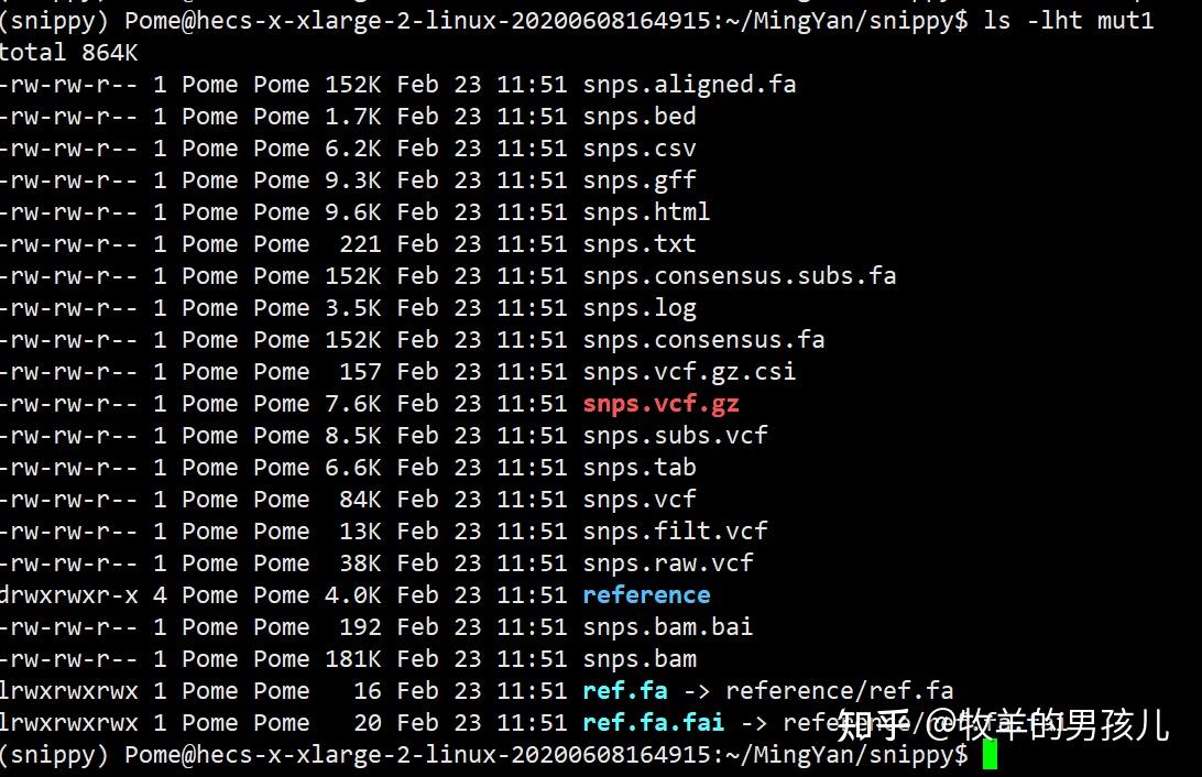 检测snp和InDel的工具：snippy~可用于检测两条fasta序列之间的变异生成vcf格式文件 - 知乎