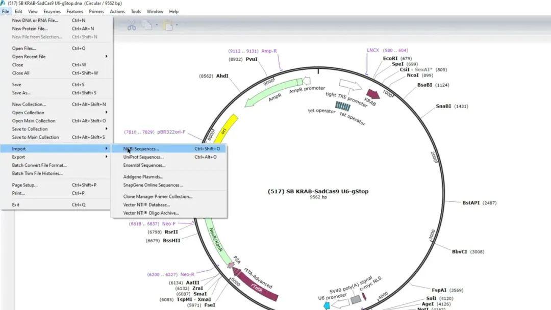 SnapGene 初学者指南 | 如何创建、打开、导入文件 - 知乎