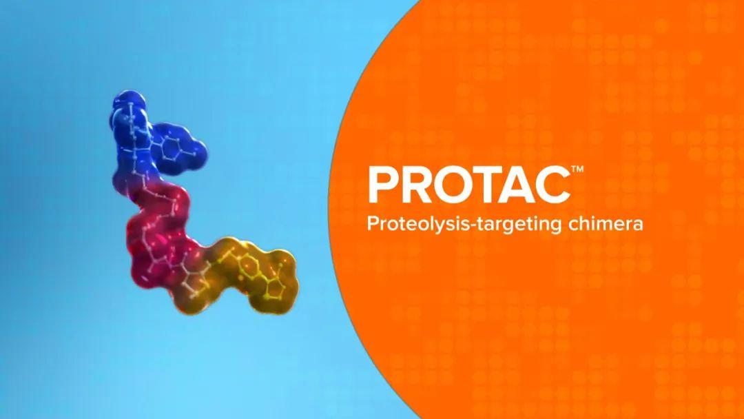 Nature子刊：王津团队开发新型PROTAC，增强其细胞内积累和蛋白降解效果 - 知乎