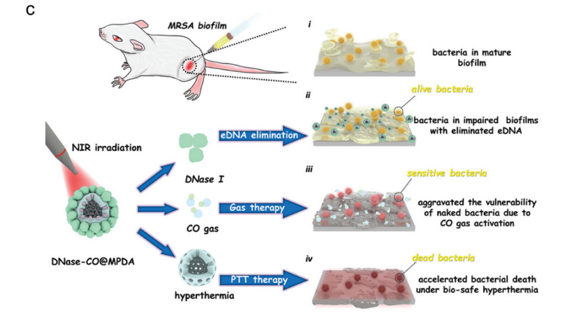 急思广益|利用气体治疗细菌感染？气体疗法在抗感染领域的应用现状、优势和发展前景综述 - 知乎