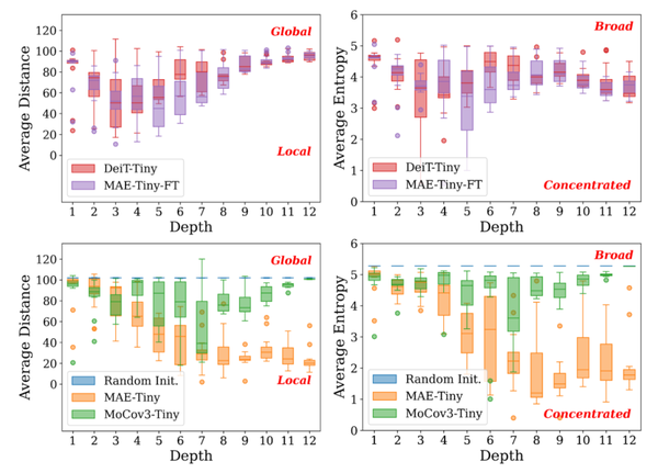 ICML 2023 | 轻量级视觉Transformer (ViT) 的预训练实践手册 - CV技术指南（公众号） - 博客园