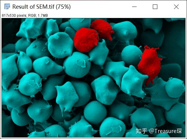 ImageJ实用技巧——电镜图像上色(基本功能篇) - 知乎