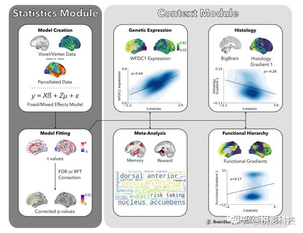 BrainStat：一个用于全脑统计和多模态特征关联的工具箱 - 知乎
