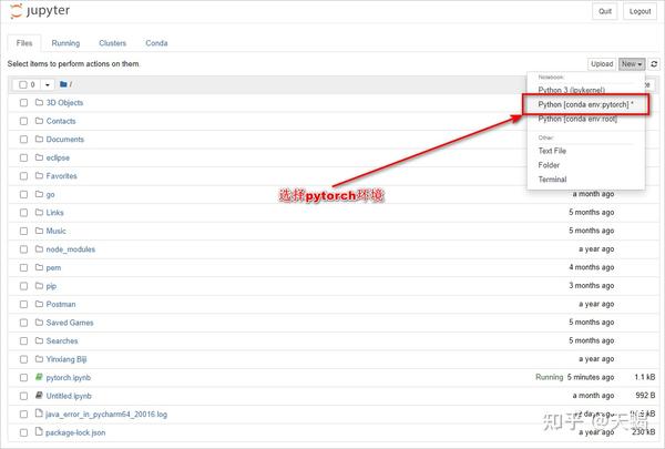 Pytorch入门 - 知乎
