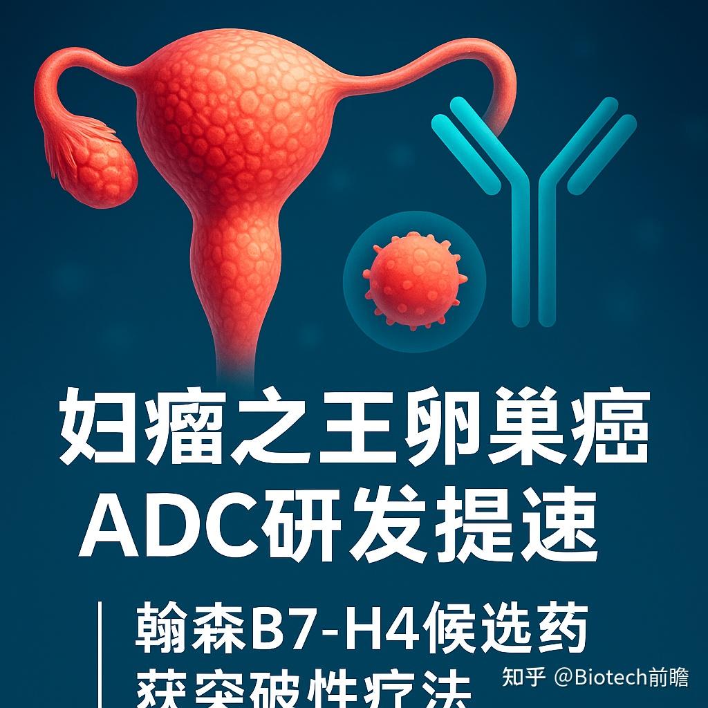 妇瘤之王卵巢癌ADC研发提速丨翰森B7-H4候选药获突破性疗法 - 知乎