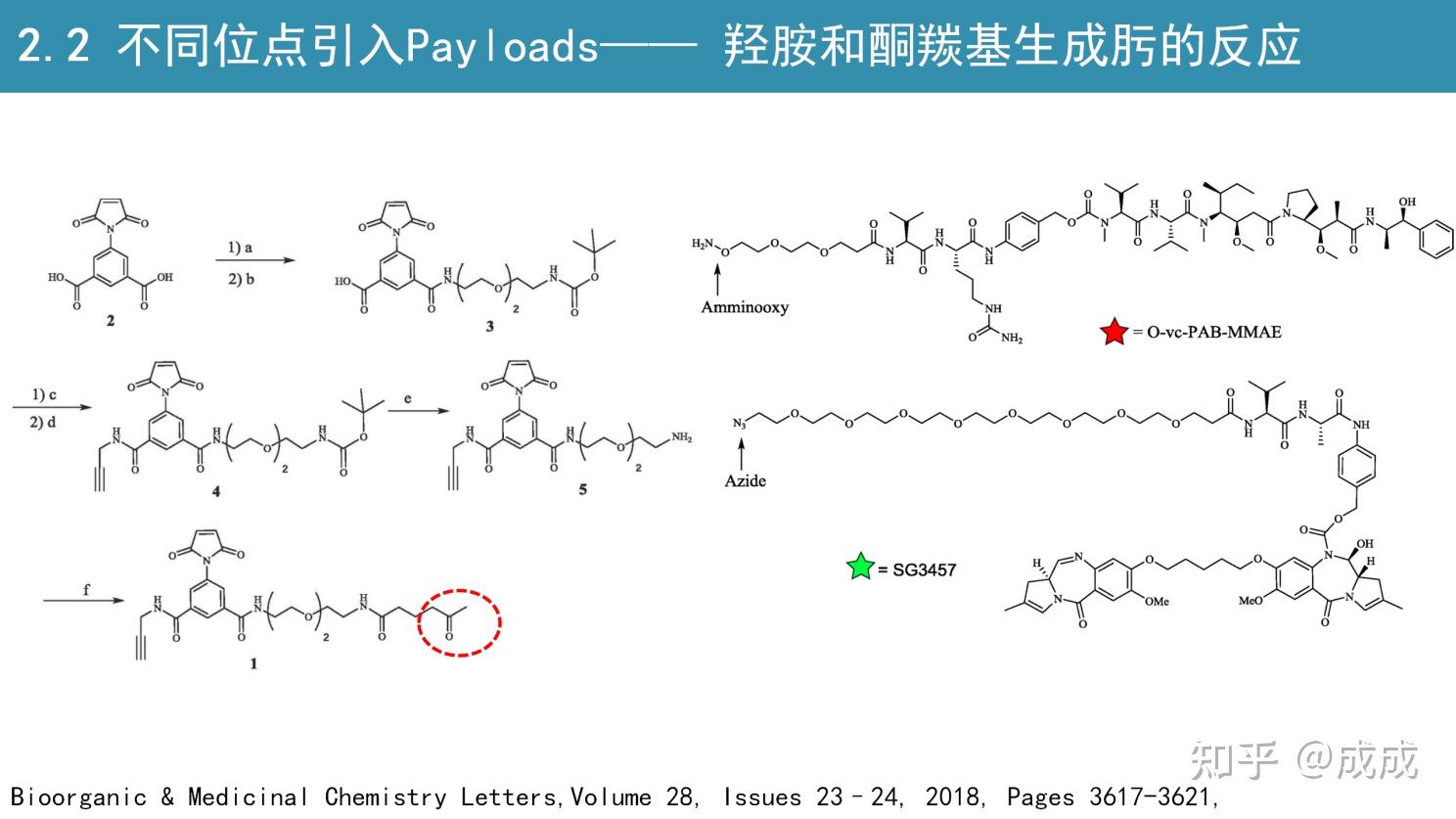 双载荷ADC的构建思路| Antibody-drug conjugates with dual payloads - 知乎