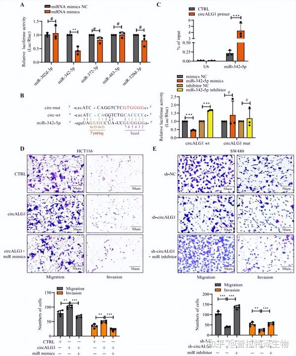 m6A+ceRNA发了41.444分，你行吗？ - 知乎
