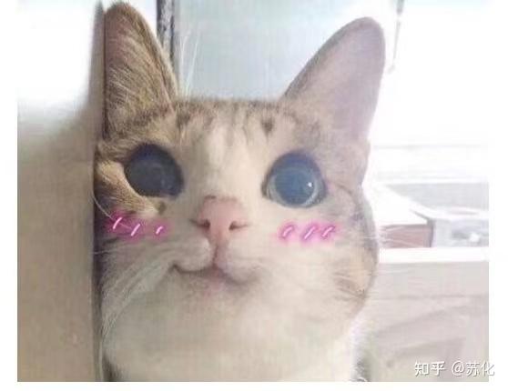 reg map 自动生成寄存器配置脚本 - 知乎