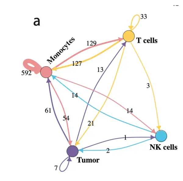实用指南丨CellPhoneDB 细胞互作分析是什么？怎么看？如何用？ - 知乎