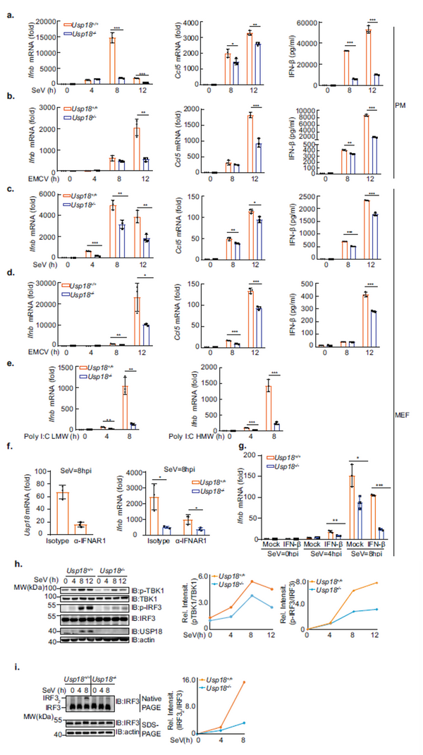 USP18通过促进MAVS的K63连接的多聚泛素化正向调节先天抗病毒免疫 - 知乎