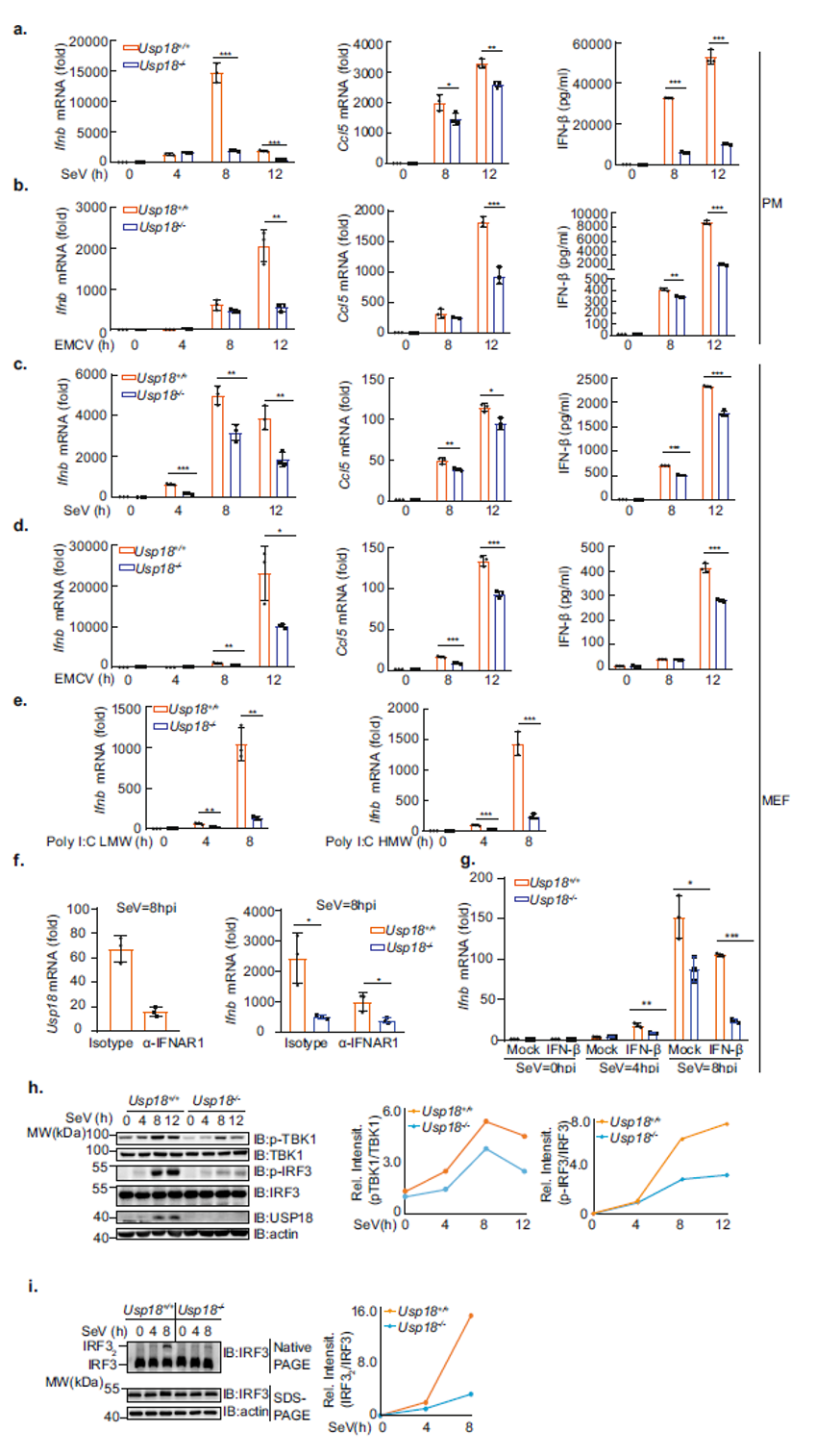 USP18通过促进MAVS的K63连接的多聚泛素化正向调节先天抗病毒免疫 - 知乎