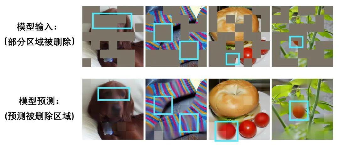 ICLR Spotlight｜卷积网络上的首个BERT/MAE预训练，ResNet也能用 - 知乎