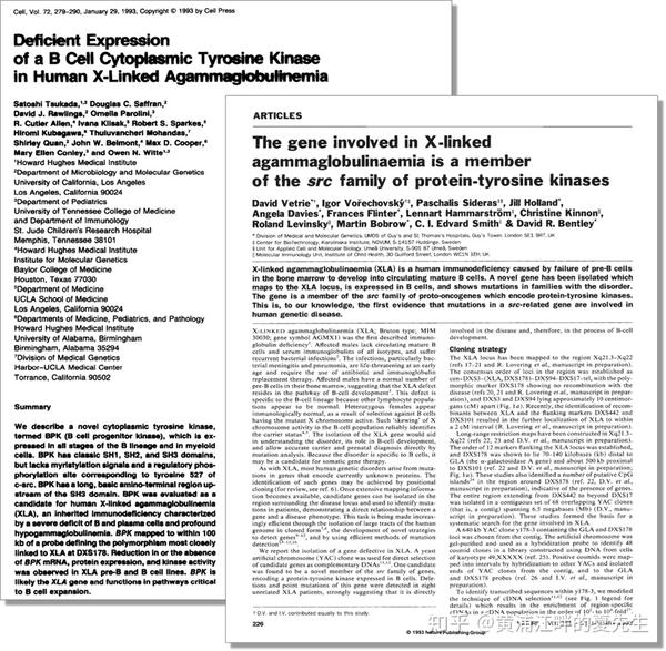 BTK与B细胞恶性肿瘤的靶向治疗 - 知乎