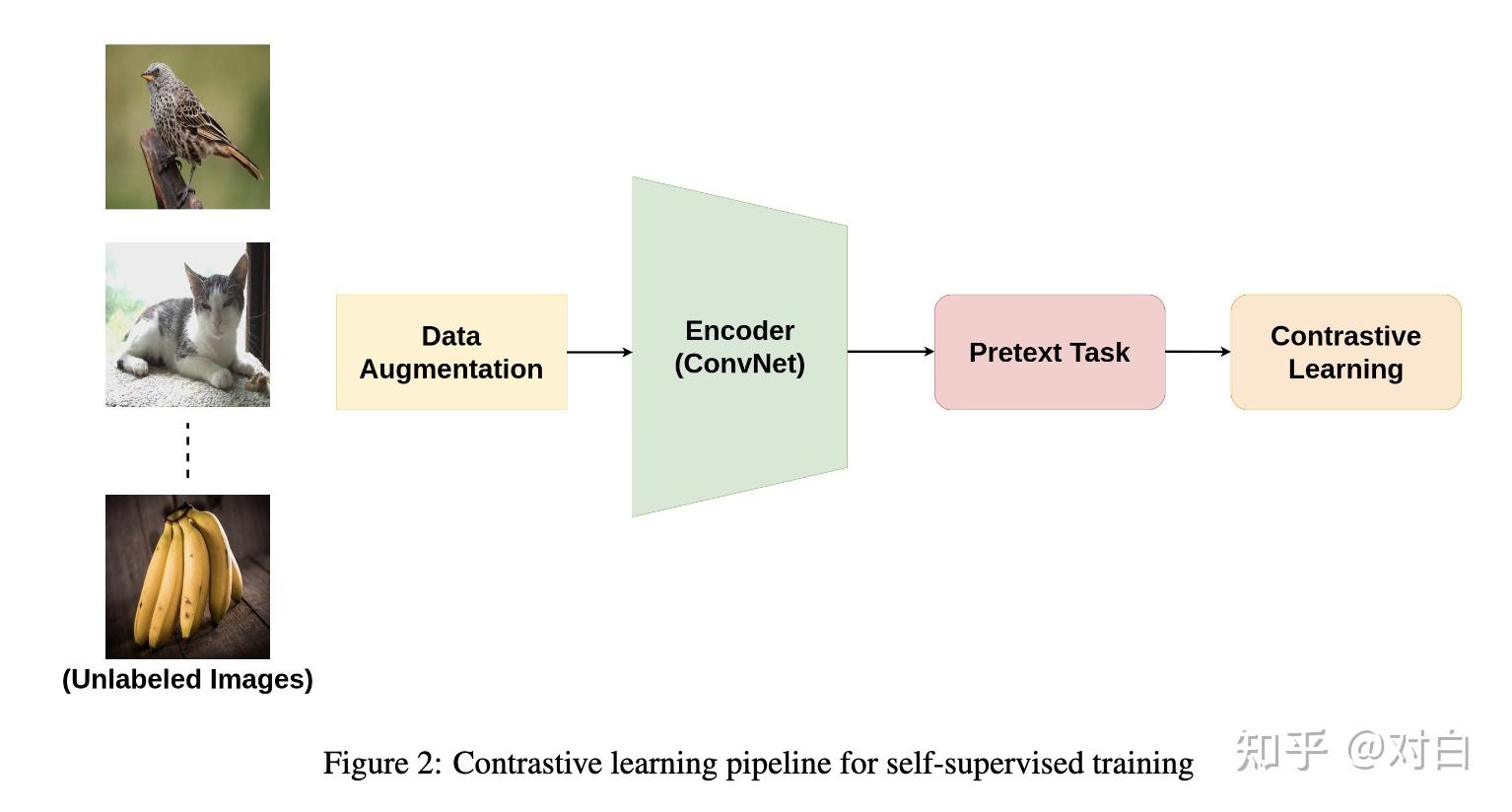 对比学习（Contrastive Learning）最新综述 - 知乎