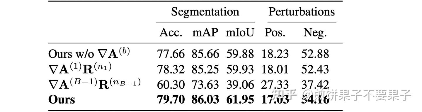 【Transformer 可视化】Transformer Interpretability Beyond Attention ...