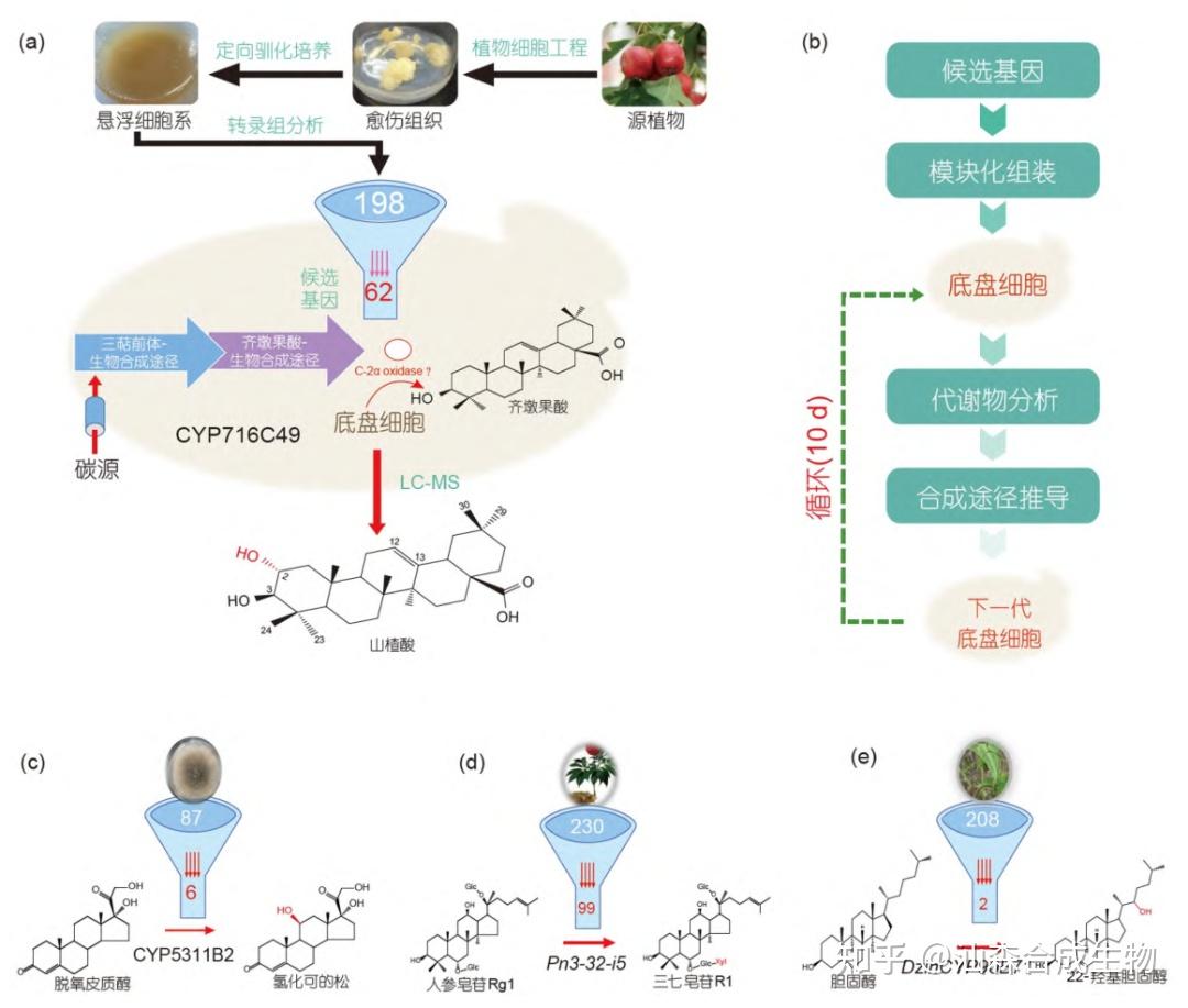 中科院天工所张学礼研究员团队综述： - 知乎