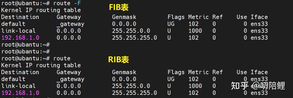 路由表(RIB/FIB)、MAC表、ARP表介绍 - 知乎