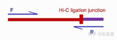 HiCUP对HiC数据进行预处理 - 知乎
