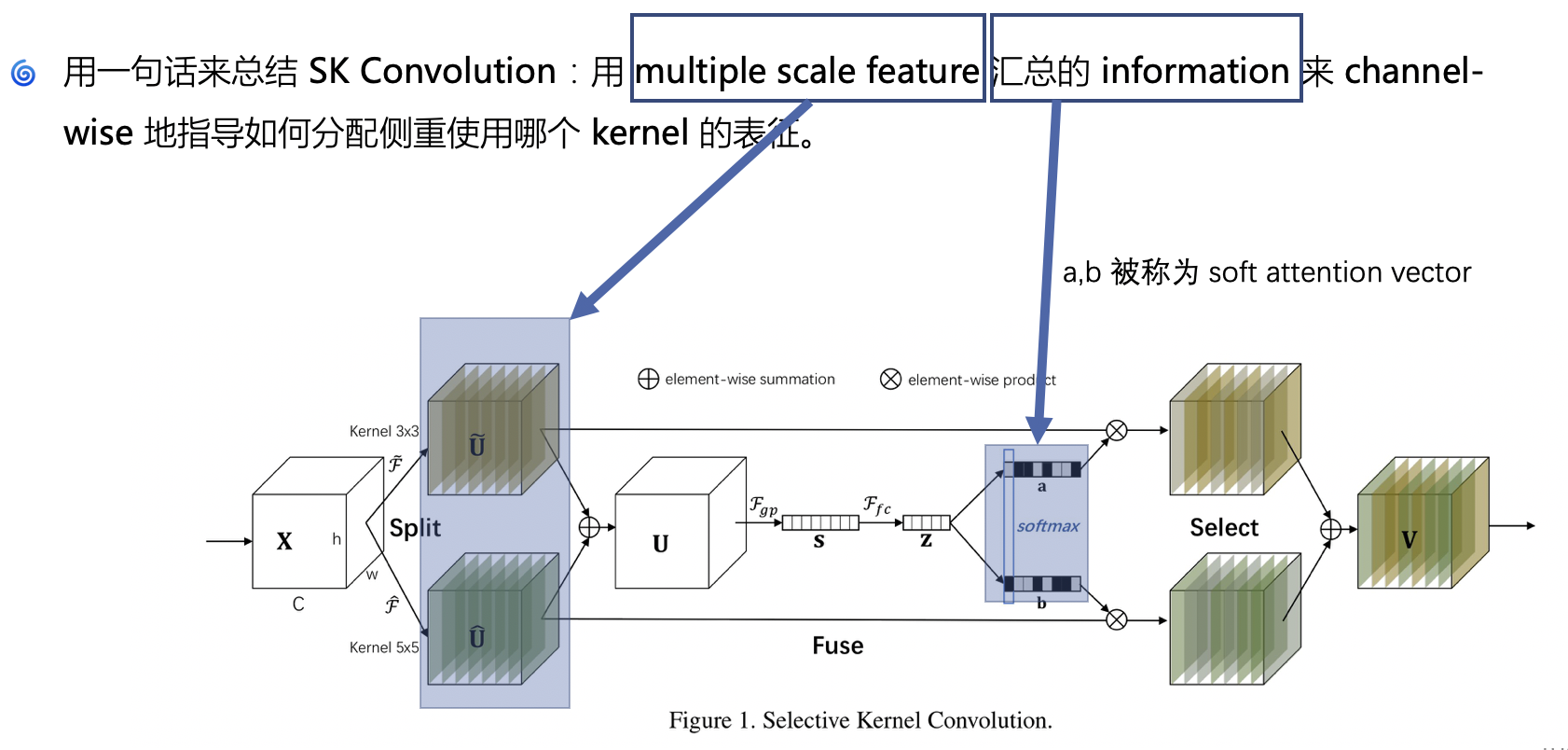论文 Selective Kernel Networks（SKNet）解读 - 知乎