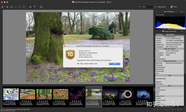 SILKYPIX Developer Studio Pro 10 (RAW数码照片处理) - 知乎