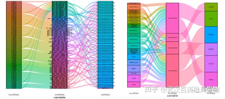 在线绘图|2分钟轻松搞定桑基图（Sankey diagrams） - 知乎