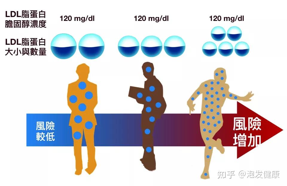 你不知道的“sd-LDL-C”和"LPO"——更明确地预测严重心血管疾病、甚至死亡！ - 知乎