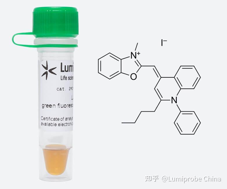 Expanded portfolio of nuclear dyes for cell biology applications (细胞生物学 ...
