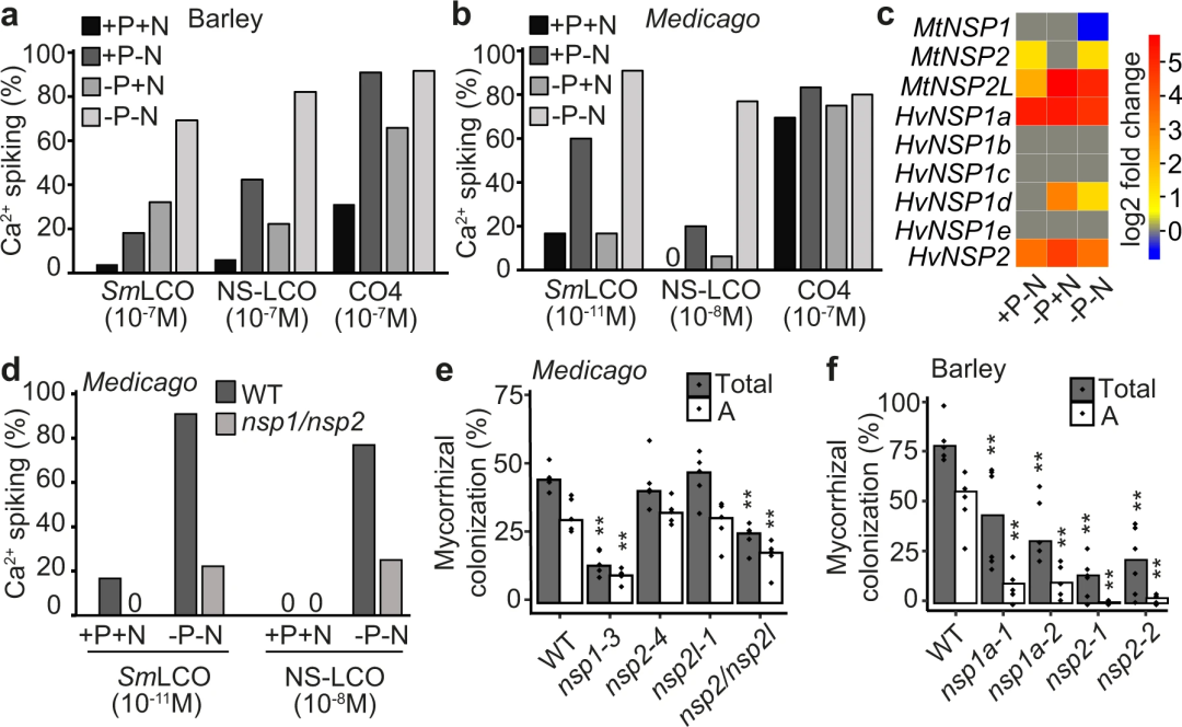 【Nature子刊文献精读】营养物质调控植物识别共生微生物定殖的机制！ - 知乎
