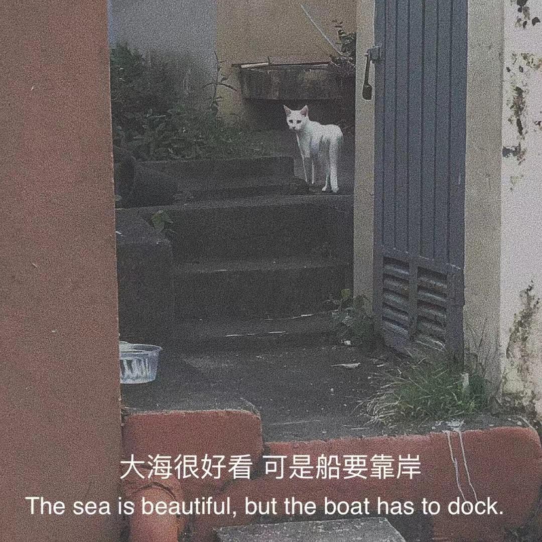 暗示对人很失望的文案 知乎