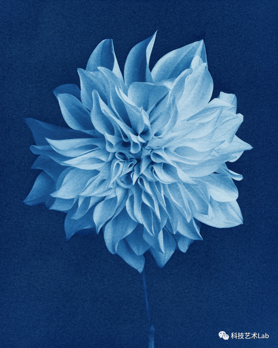 [艺术赏析033] 蓝调摄影 by Rosalind Hobley - 知乎